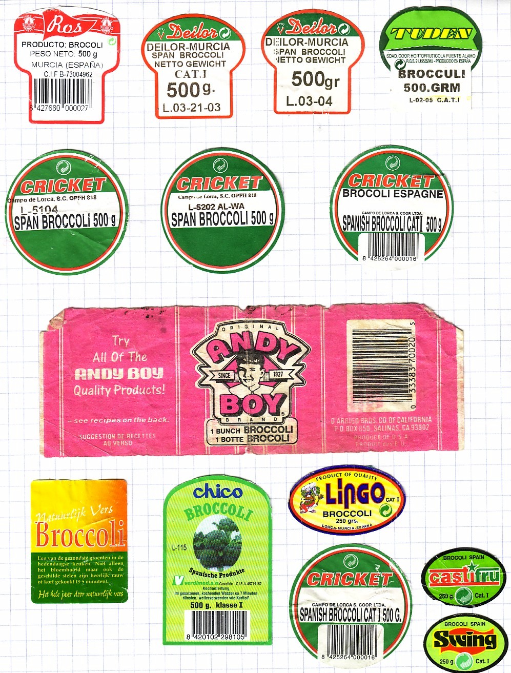 Broccoli Labels | Becky's Gone Bananas....And Broccoli Too!